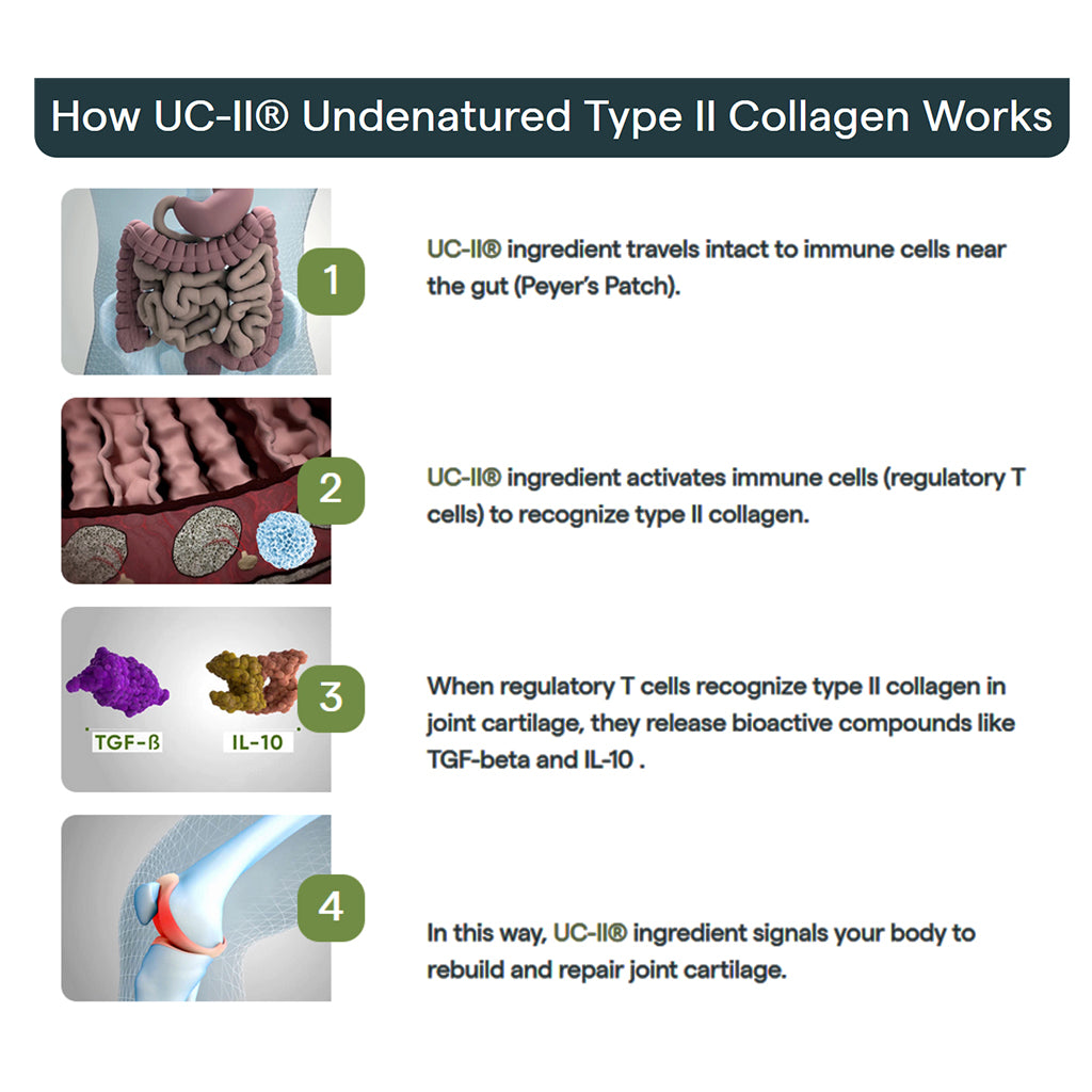 NOW - UC-II (Undenatured Type II Collagen) Capsules – AvivaHealth.com