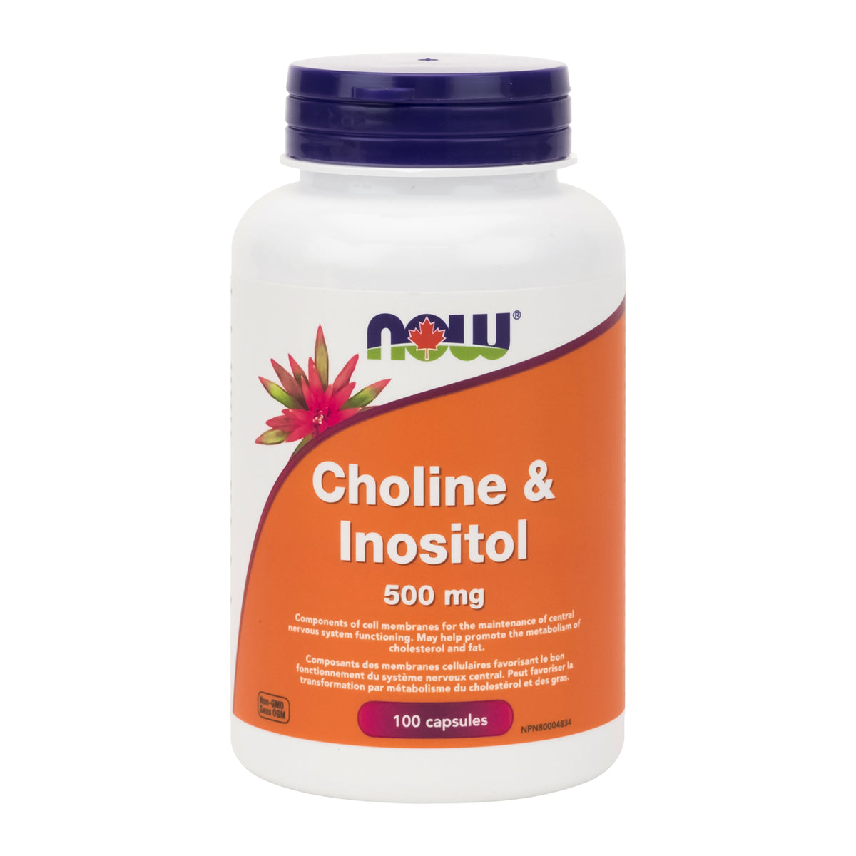 NOW - Choline & Inositol Capsules – AvivaHealth.com